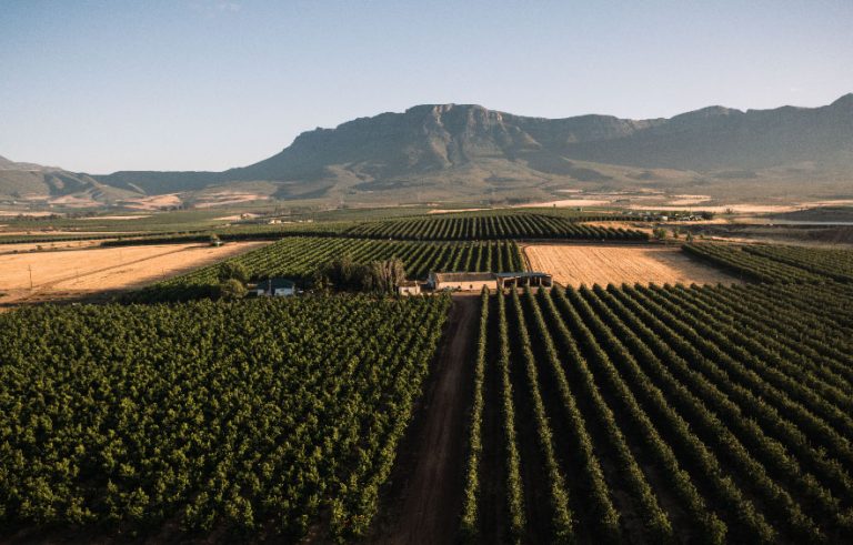 FARMS – Graaff Fruit